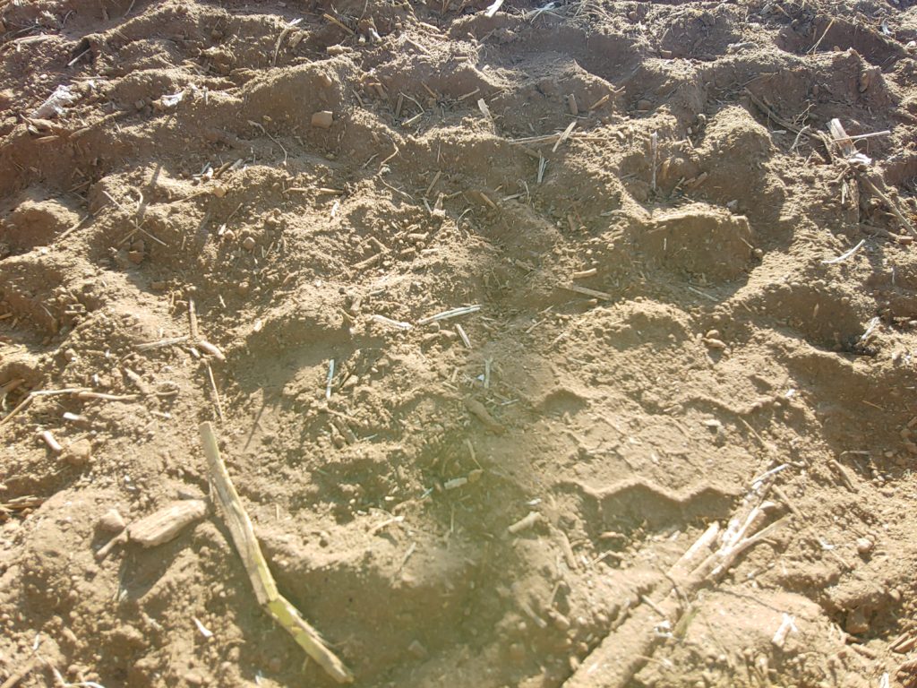 The meaning of human tracks | Hoffman van Zijl Wilderness Wanderer